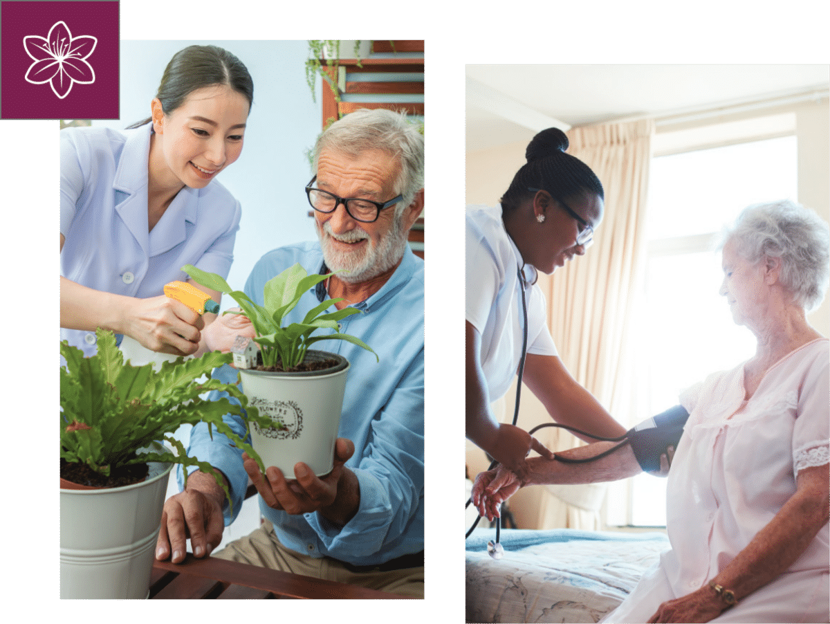 Pathways Palliative Program - Lily Hospice